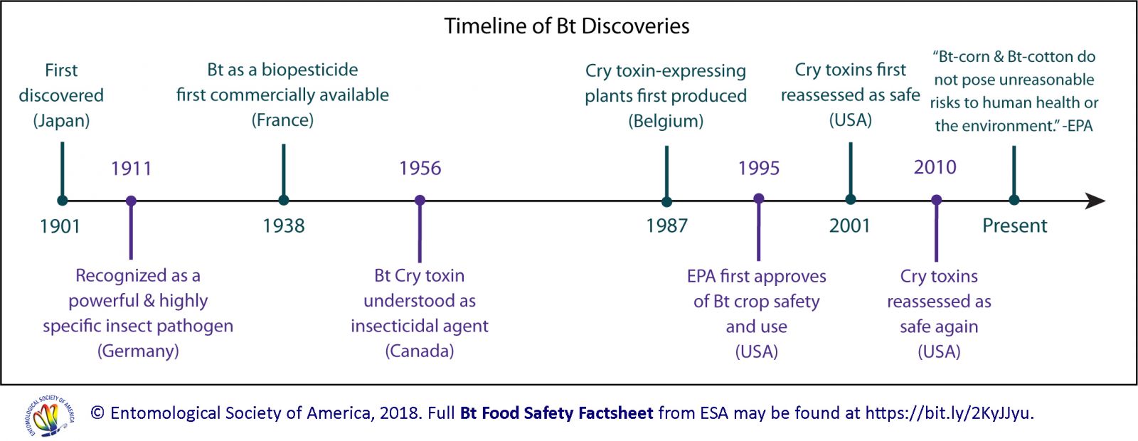 Fact Sheets and Infographics | Entomological Society of America