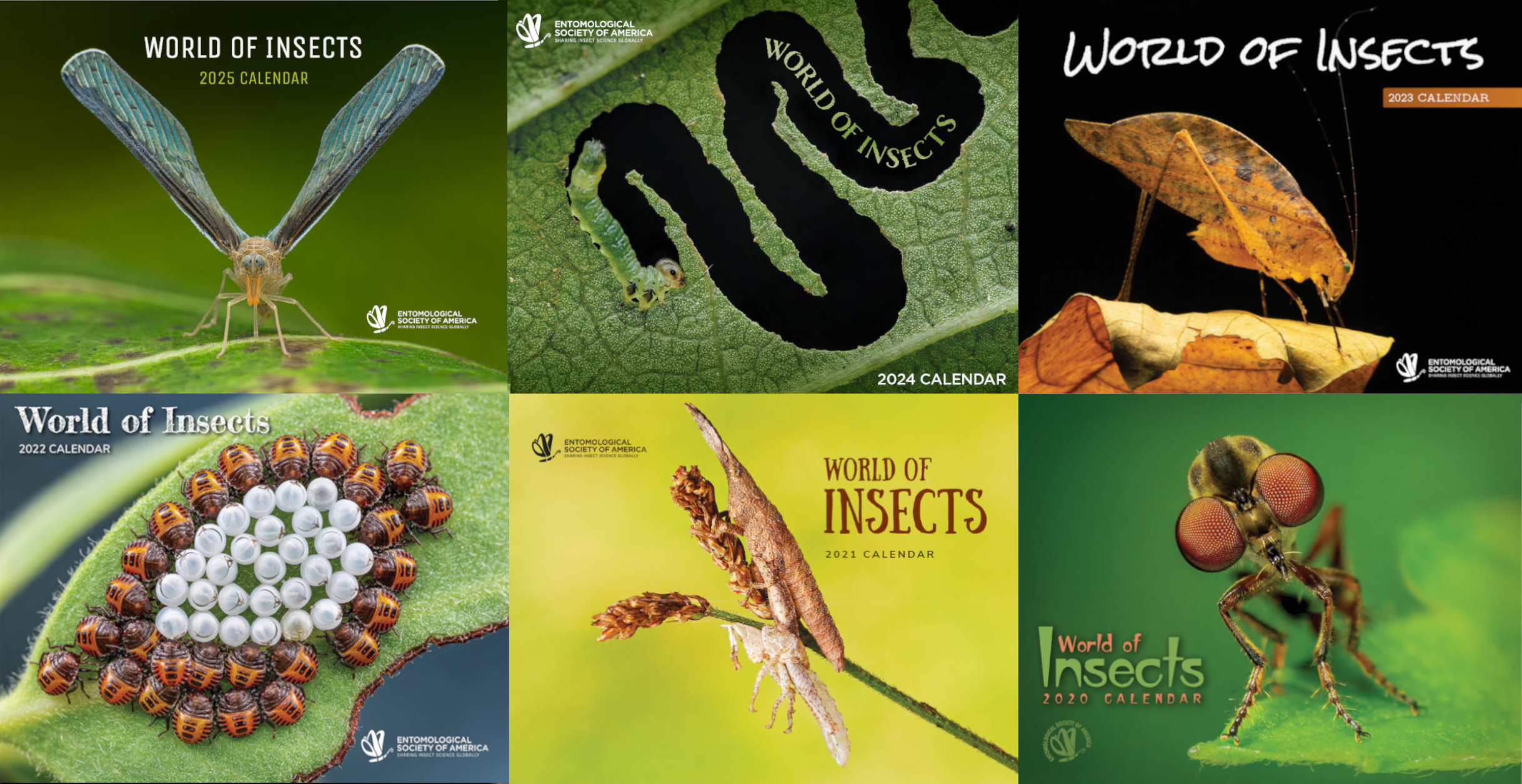 World of Insects Calendar | Entomological Society of America