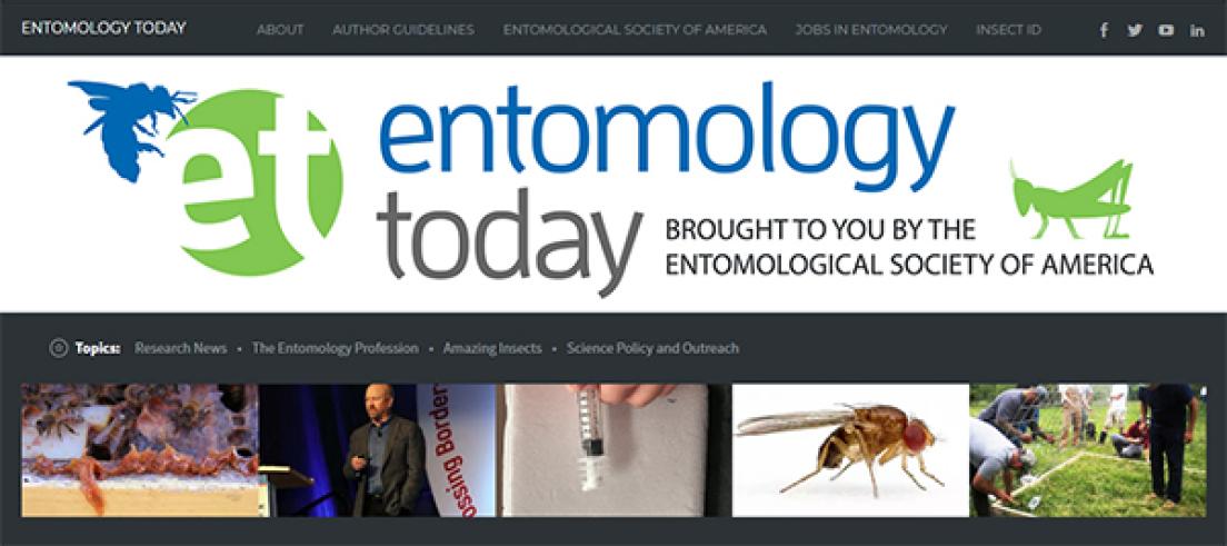 News | Entomological Society of America