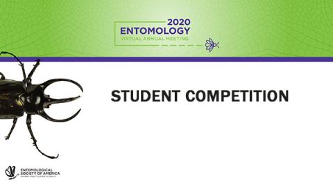 2020 Student Competition Winners | Entomological Society of America