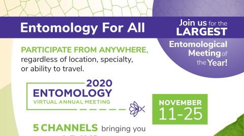 Entomology 2020 Infographic IC | Entomological Society of America
