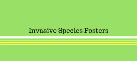 Invasive Species Posters | Entomological Society of America