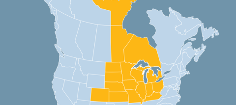 NCB Tile Image | Entomological Society of America