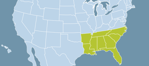 SEB Tile Image | Entomological Society of America